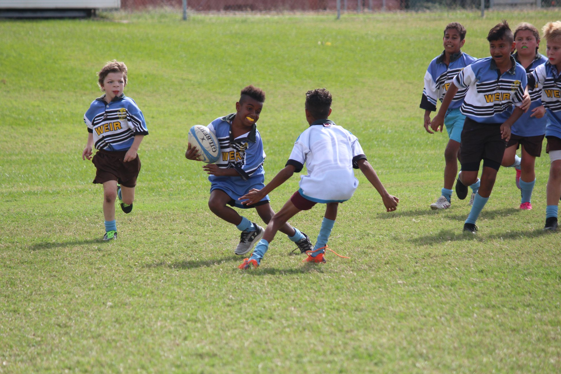 Primary School Sport – Townsville & Districts Rugby Union